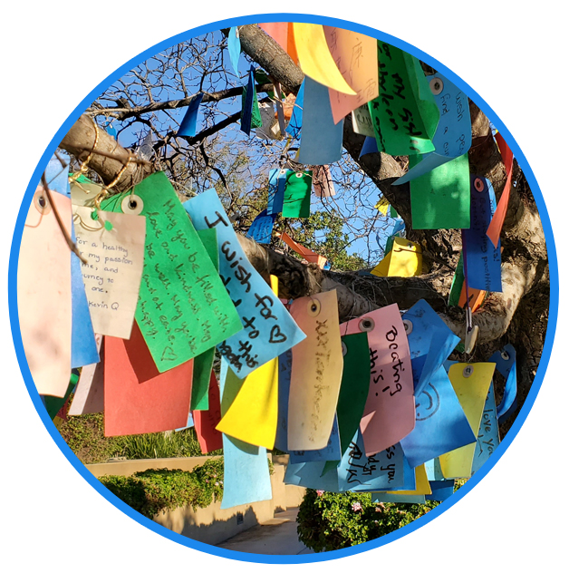 tree-circle – Stroum Jewish Community Center of Greater Seattle